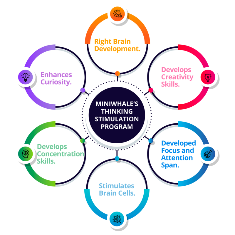 Thinking Stimulation Program (90 Days Program) - Miniwhale